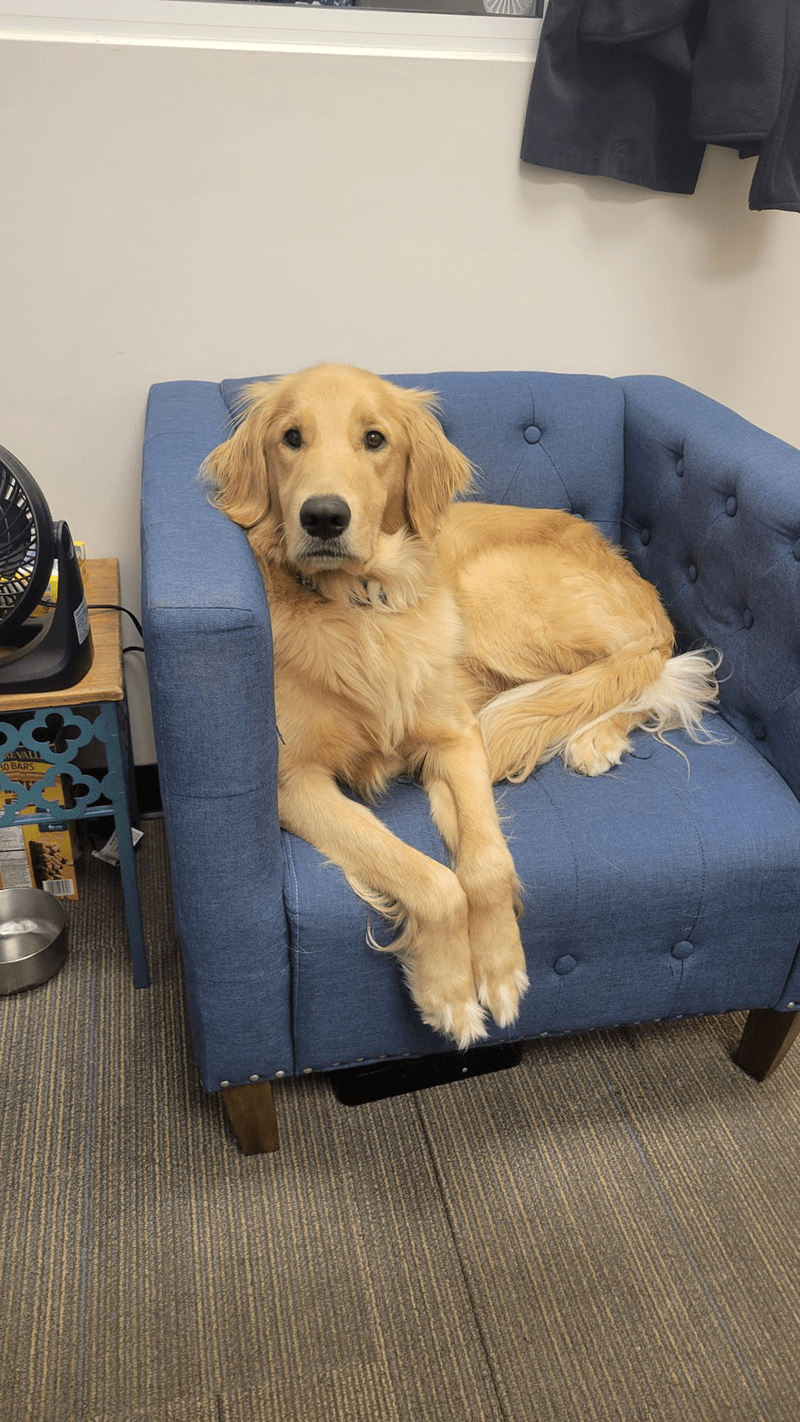 Meet the Team · Catering Works